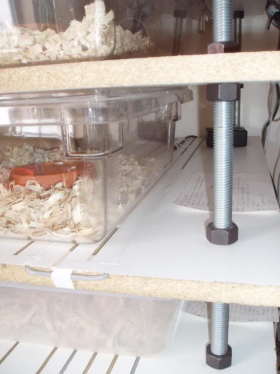 Kingsnake.com - Herpforum - New Rack