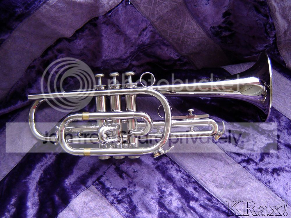Official Cool Cornet Picture Thread - View topic: Trumpet Herald forum