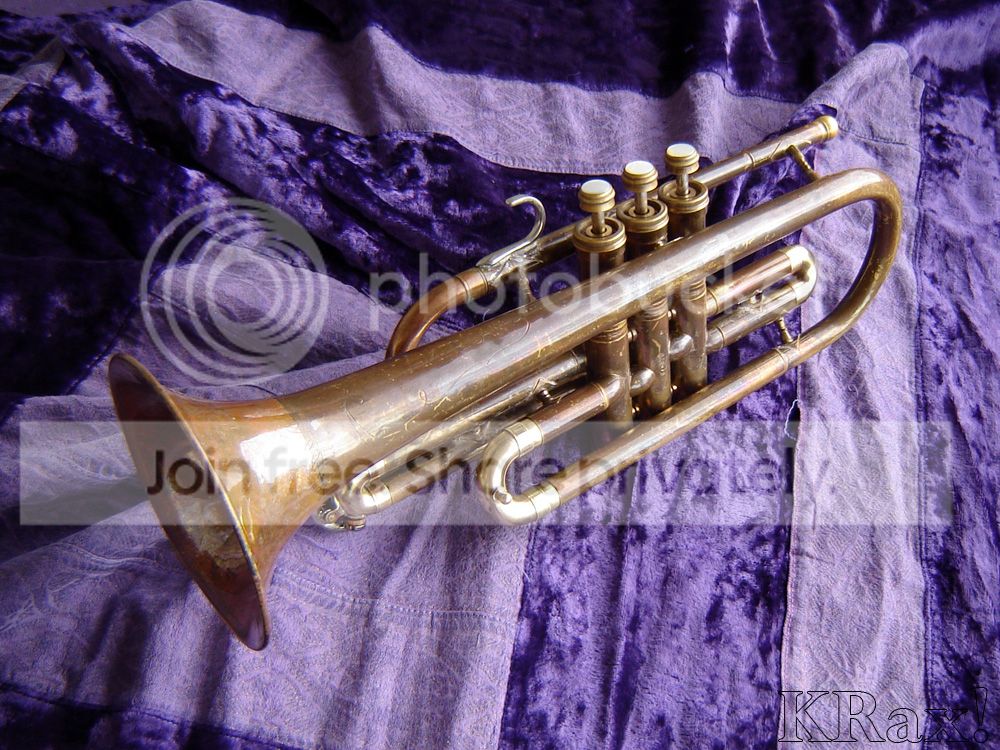 Official Cool Cornet Picture Thread - View topic: Trumpet Herald forum