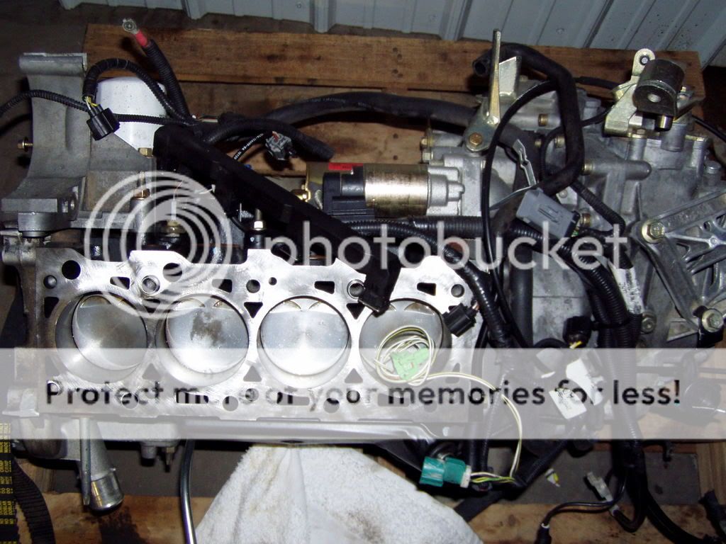 SVT Engine Rebuild Cost? | Focus Fanatics Forum