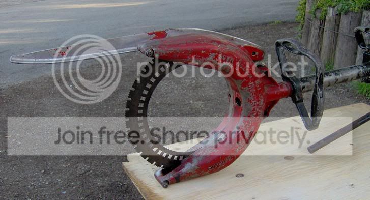 Sally Saws | Arborist, Chainsaw & Tree Work Forum