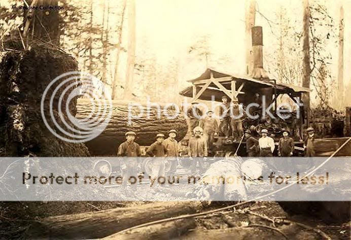 Antique logging pictures | Arborist, Chainsaw & Tree Work Forum