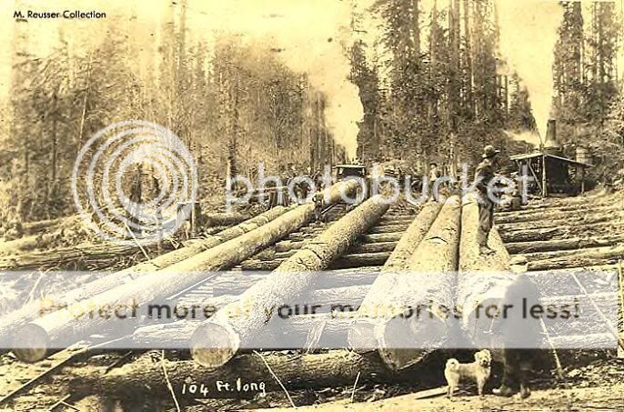 Antique logging pictures | Arborist, Chainsaw & Tree Work Forum