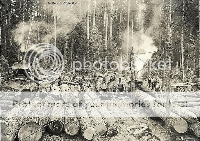 Antique logging pictures | Arboristsite.com