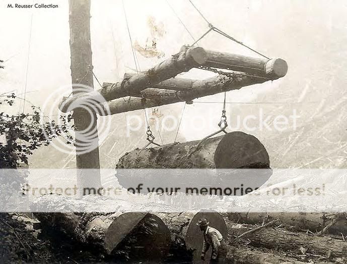 Antique logging pictures | Arborist, Chainsaw & Tree Work Forum