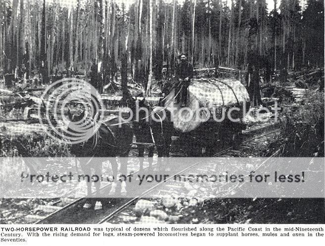 Antique logging pictures | Arborist, Chainsaw & Tree Work Forum