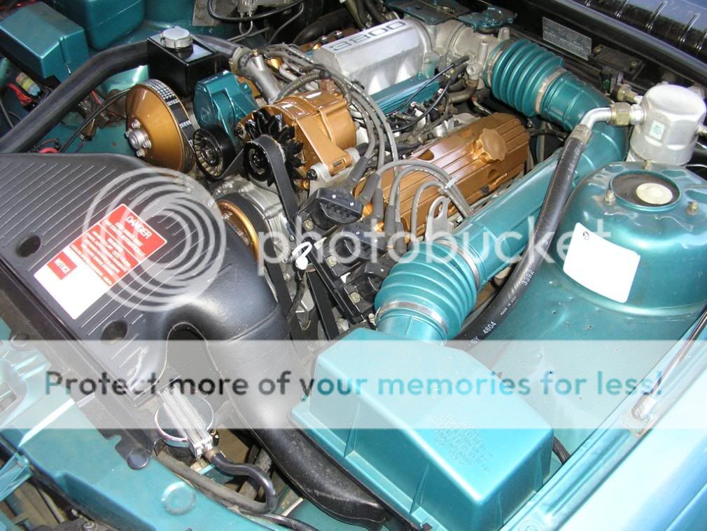 My Vp Commodore Custom Painted | Just Commodores