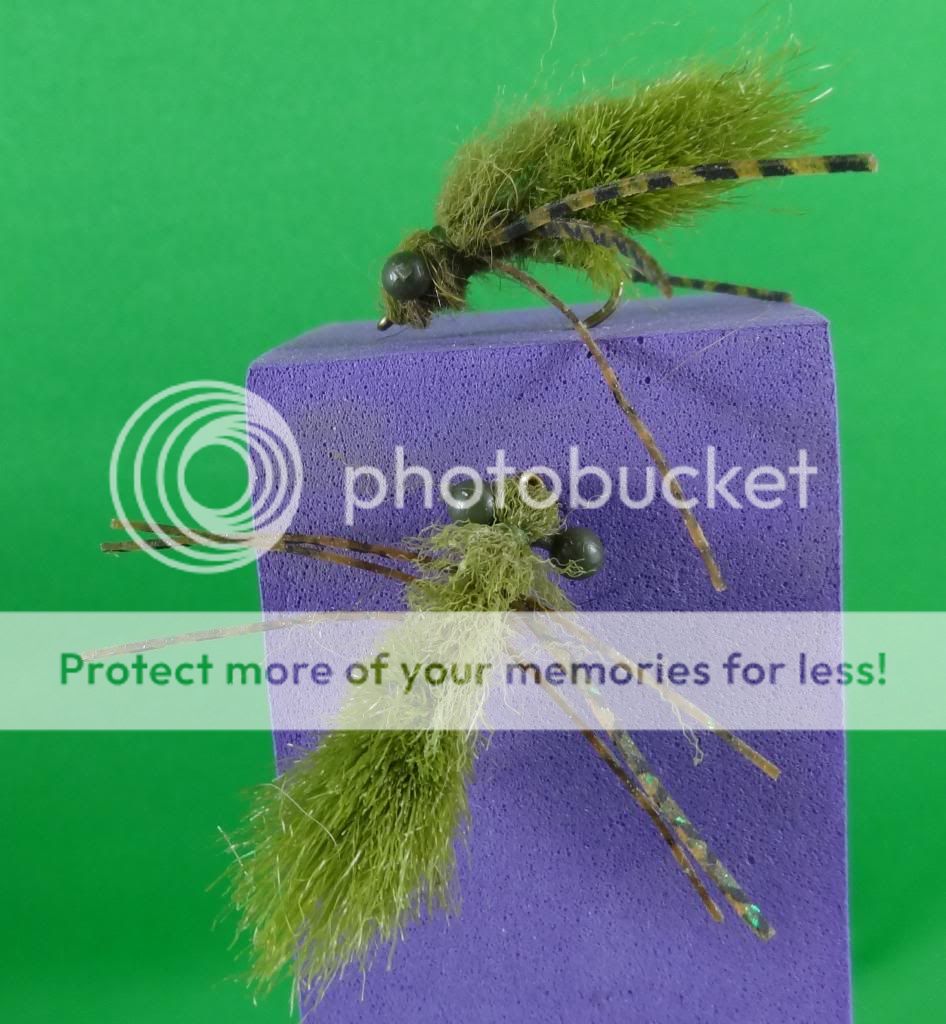 favorite dragonfly nymph pattern | Page 2 | Washington Fly Fishing Forum