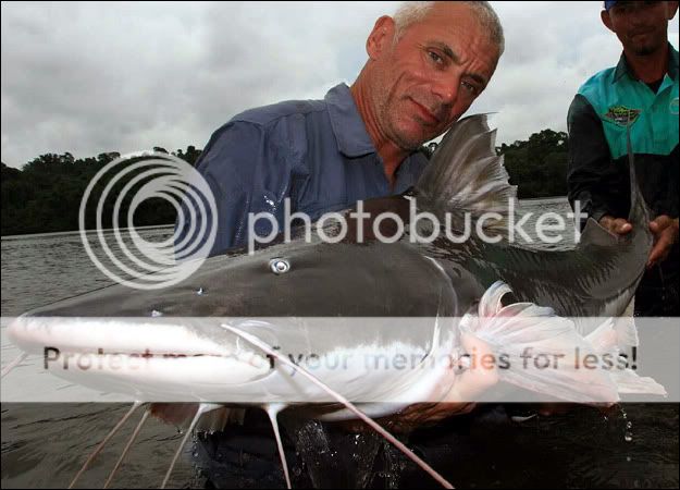 River Monsters on Discovery