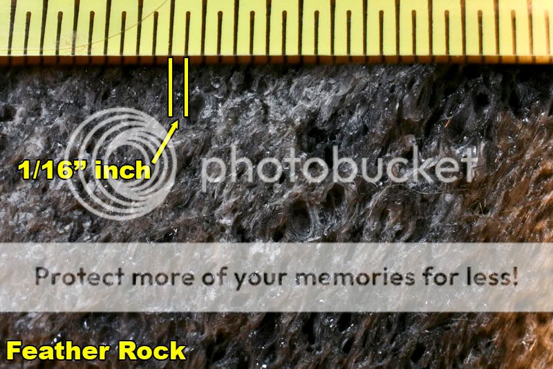 Comparison of Feather Rock and Lava Rock